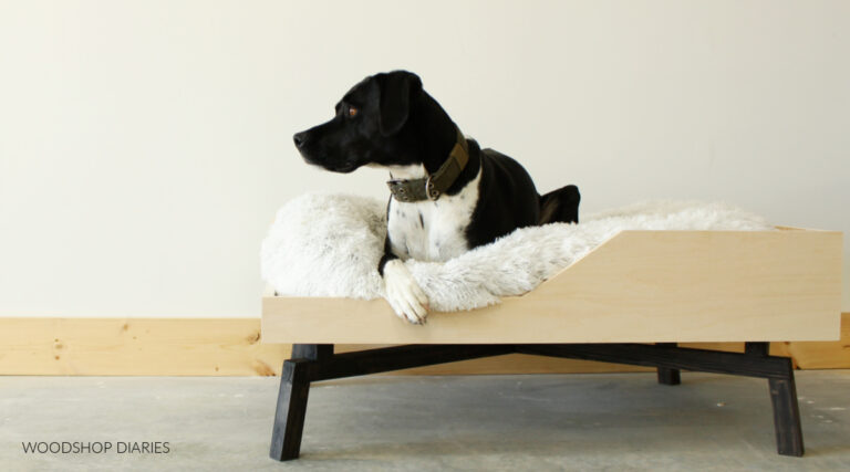 DIY Elevated Dog Bed -- From Plywood + 2x2s!