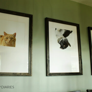 Custom DIY Picture Frames--Without Any Fancy Tools!