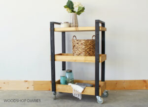 How to Build a DIY Rolling Storage Cart--BUILDING PLANS