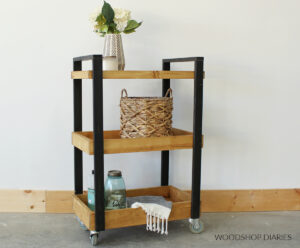 How to Build a DIY Rolling Storage Cart--BUILDING PLANS