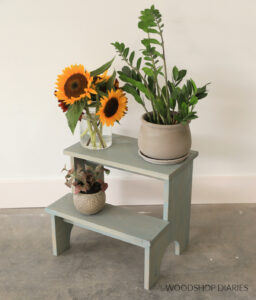 DIY Side Table Plant Stand | FROM WOOD SCRAPS!