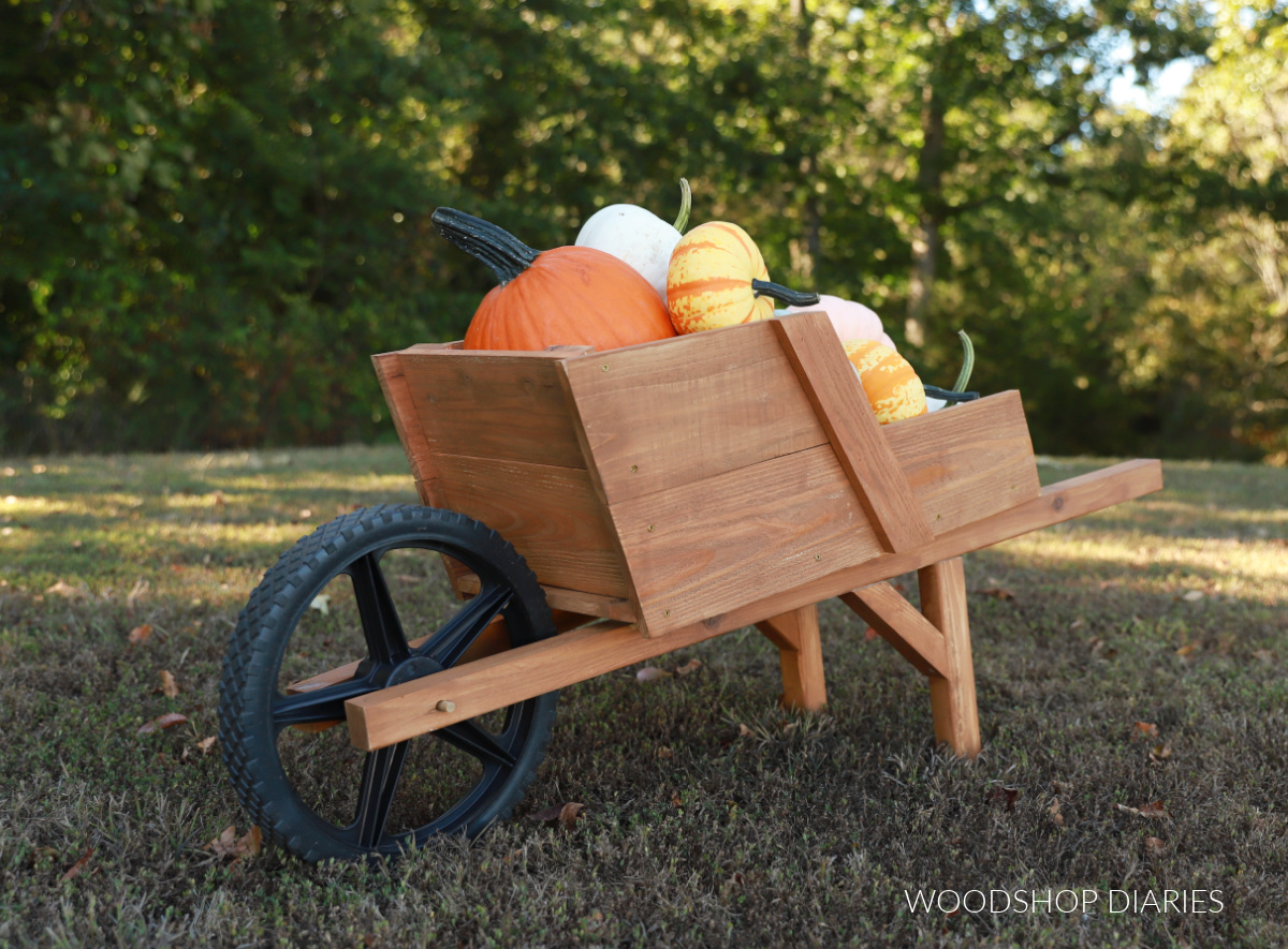 Wheelbarrow diy store