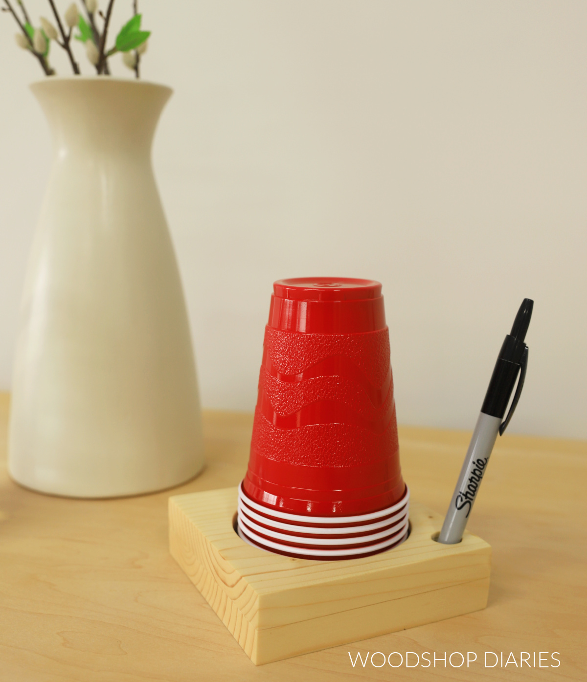 DIY Party Cup Holder with Marker